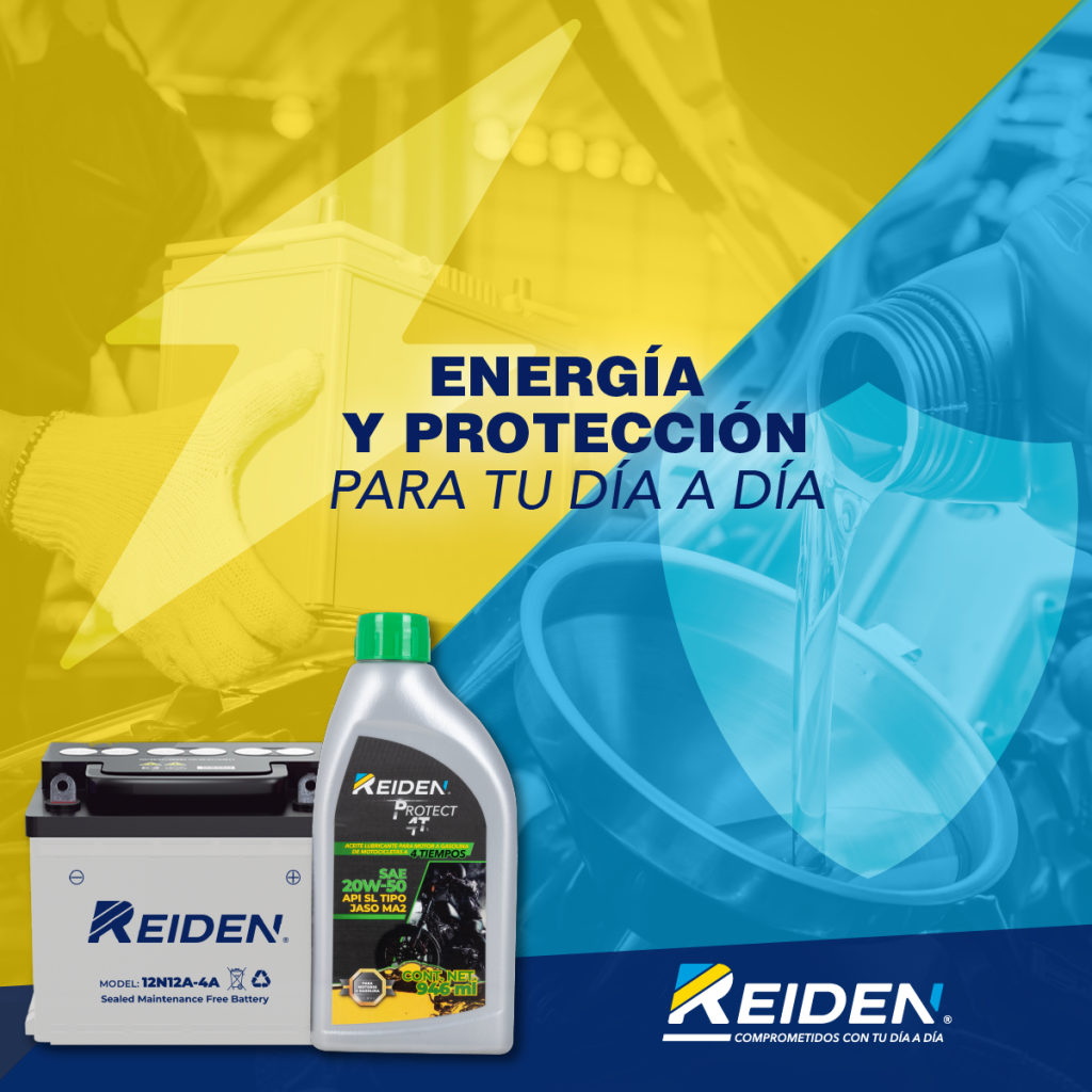 Inicio - Reiden